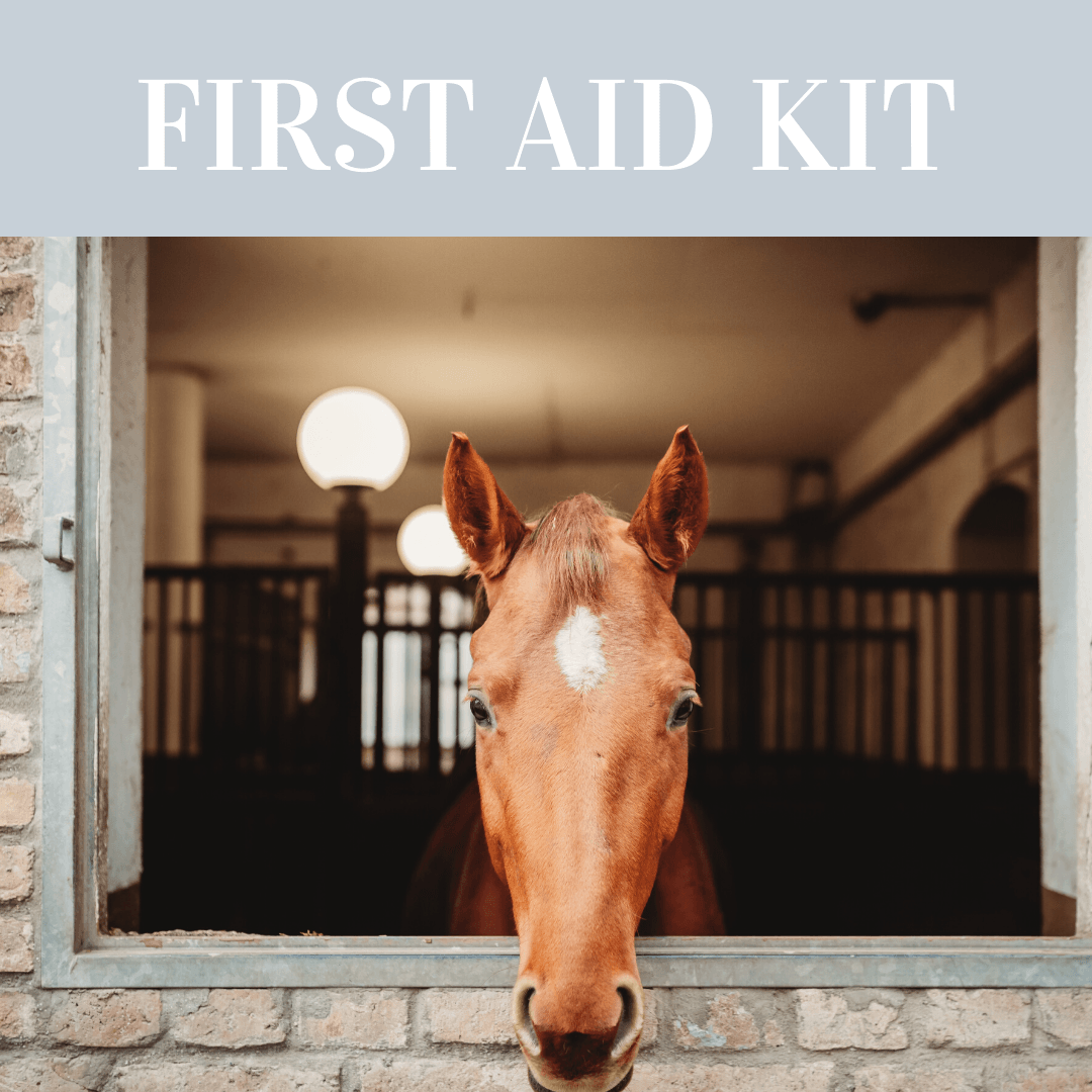 Equine First Aid Kit Essentials – Lumiere Equestrian AU
