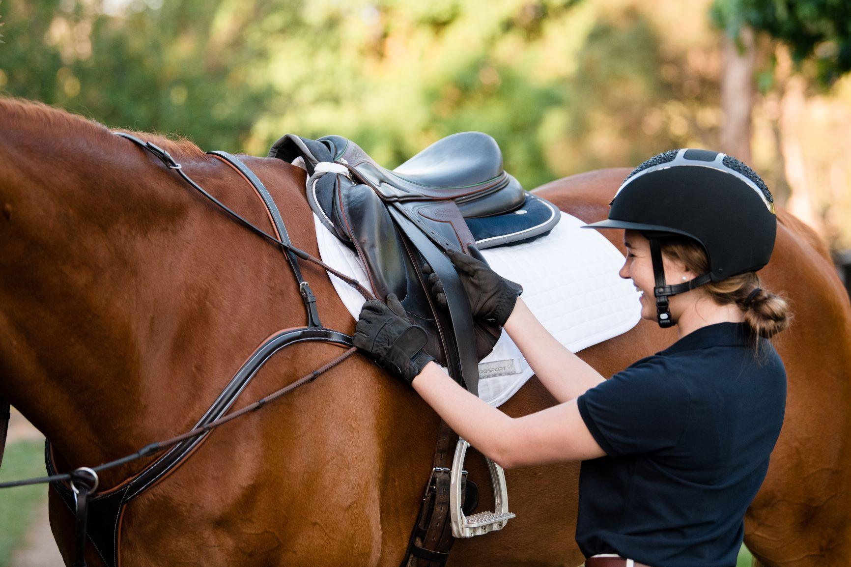 Why Leather is the Ideal Material for Equestrian Gear: Science Explain ...