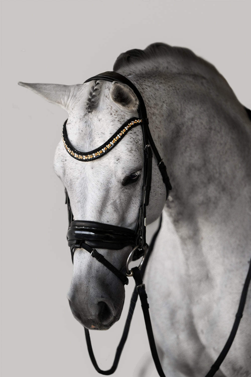 Lumiere Equestrian | Official Website
