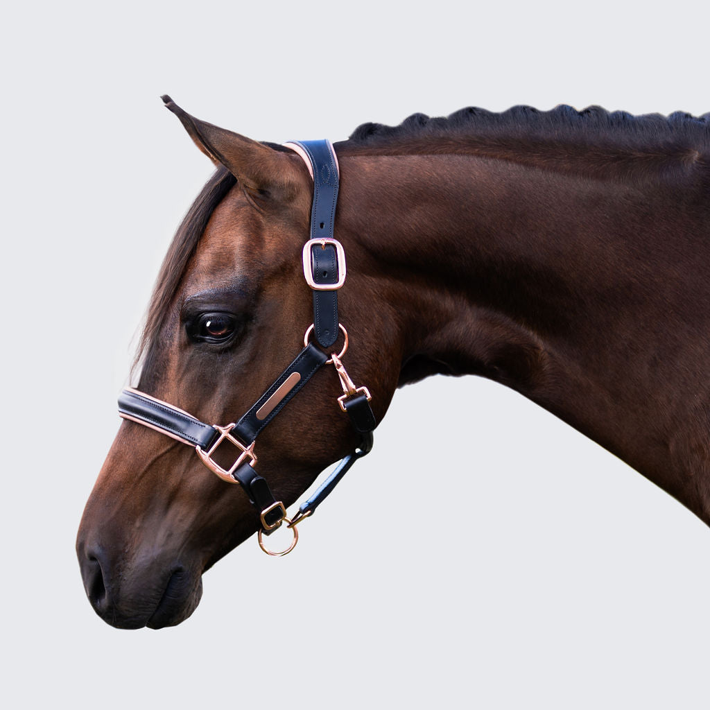 'Hollywood' leather halter | Lumiere Equestrian