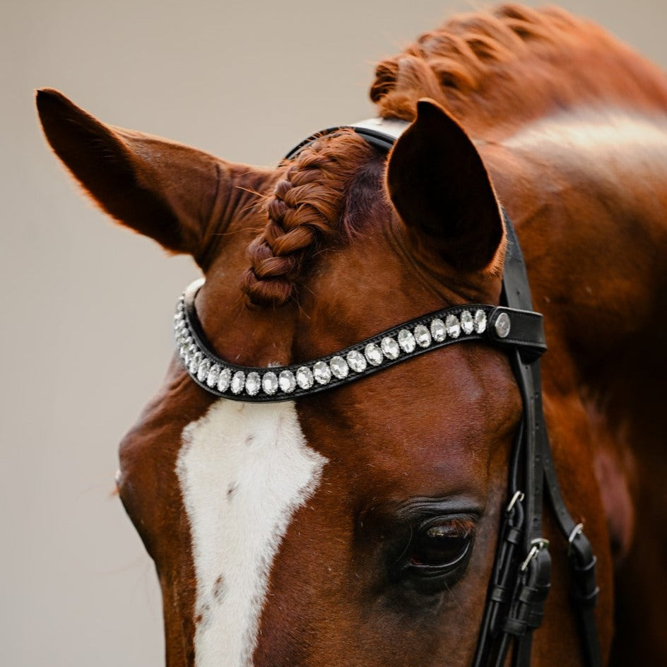 Diva bridle (cavesson) | Lumiere Equestrian