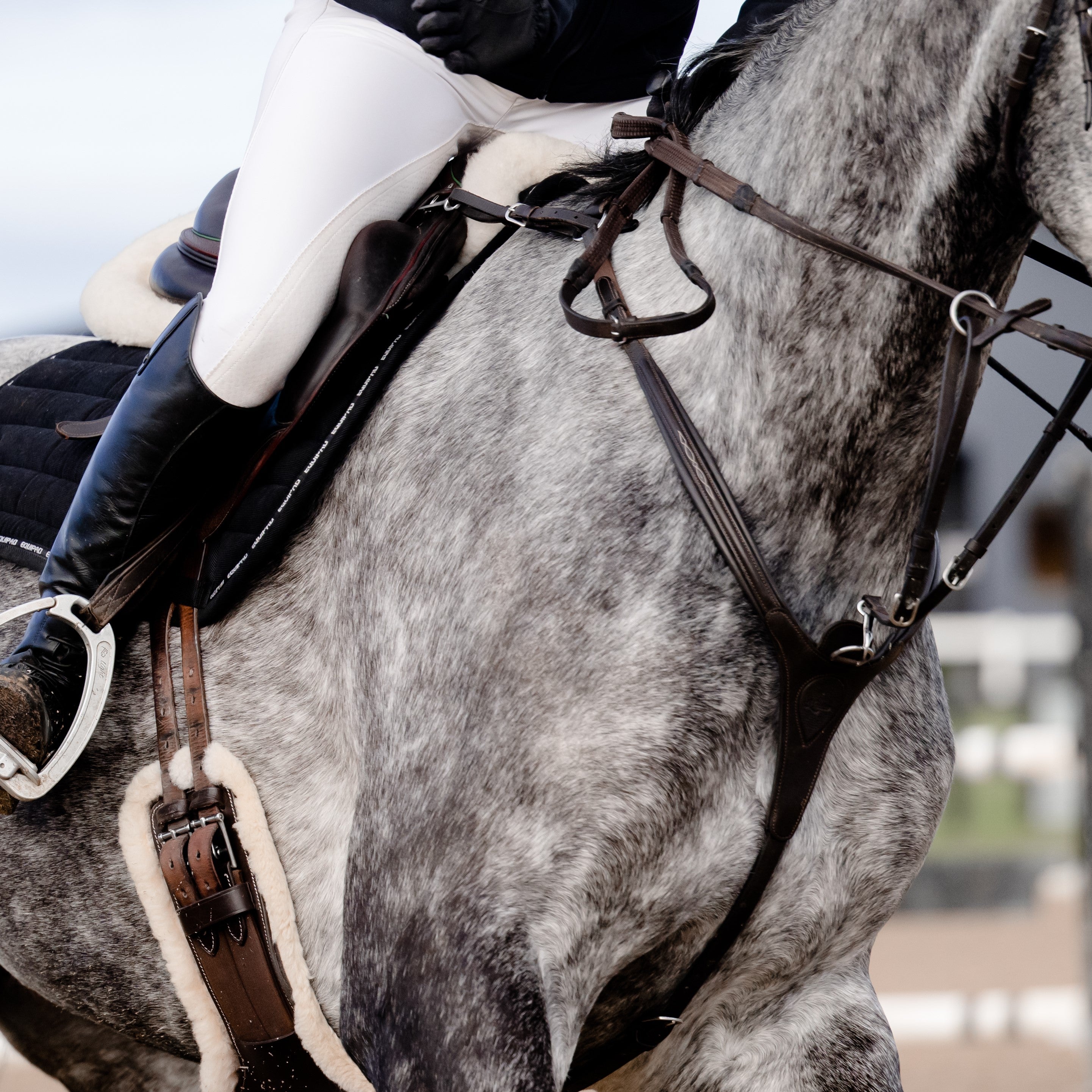 ‘Victory' 3-point Leather Breastplate | Lumiere Equestrian