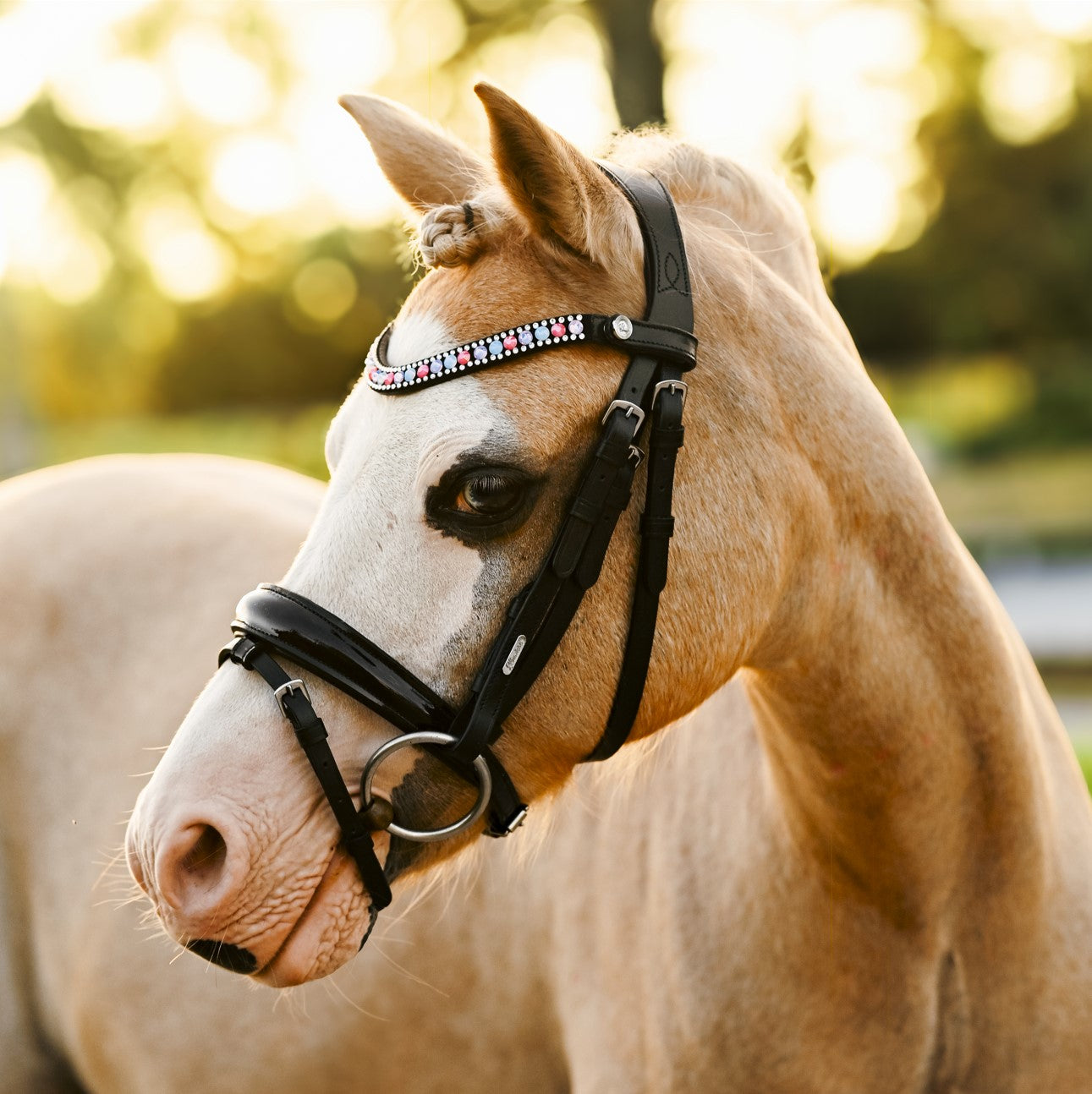 Unicorn bridle (Lumi Pony) | Lumiere Equestrian
