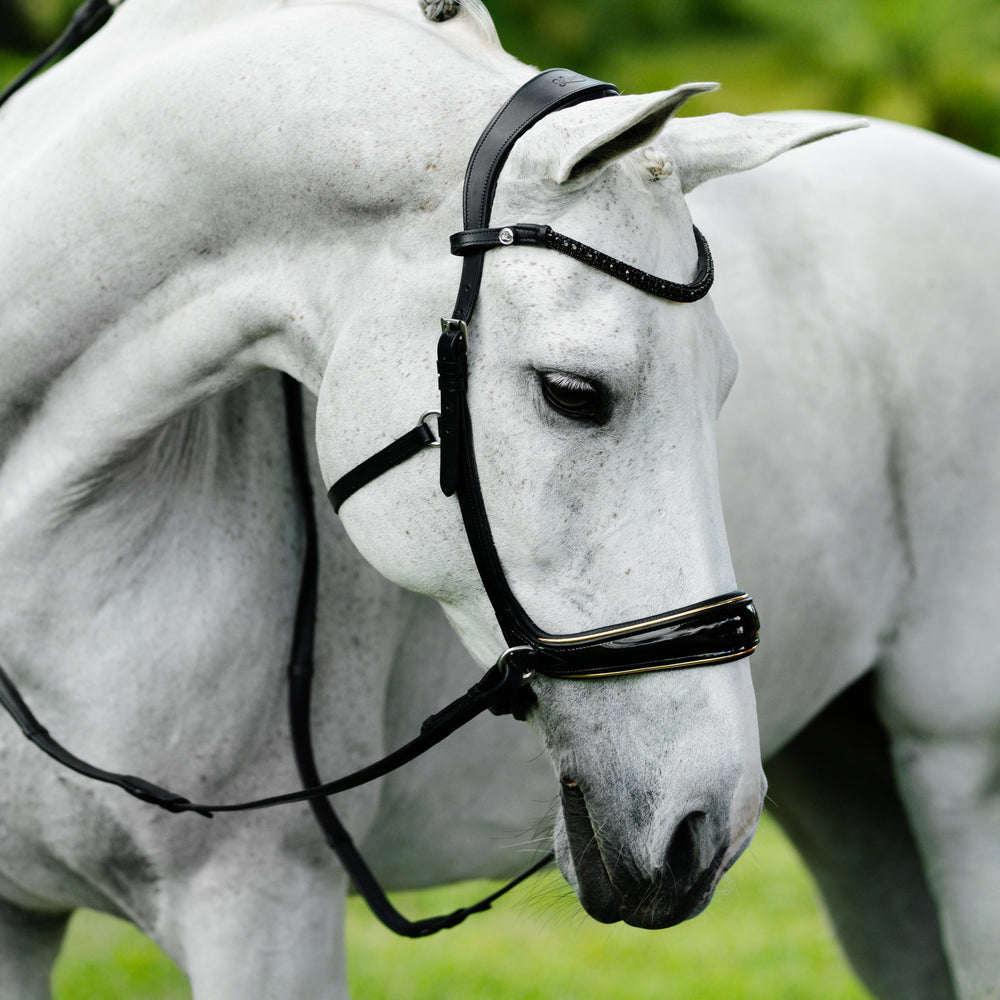 Bitless Bridles